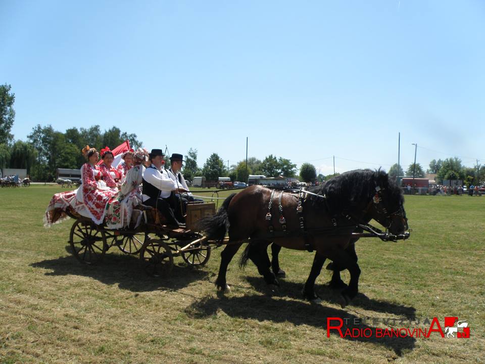 Sunja – 22. državna konjogojska izložba i 11. sajam zadrugarstva ...
