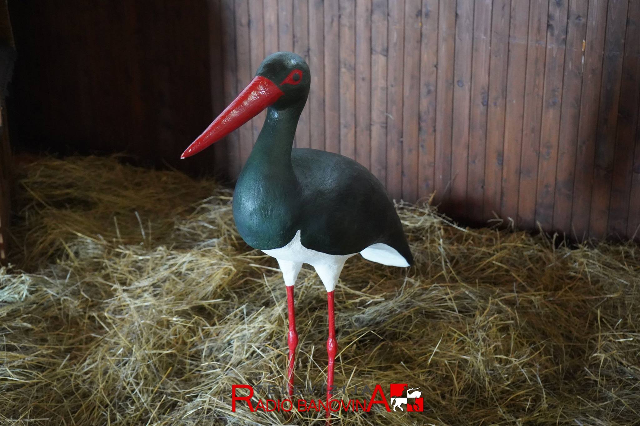 Početna konferencija projekta Posjetiteljskog centra Crna roda Osekovo ...