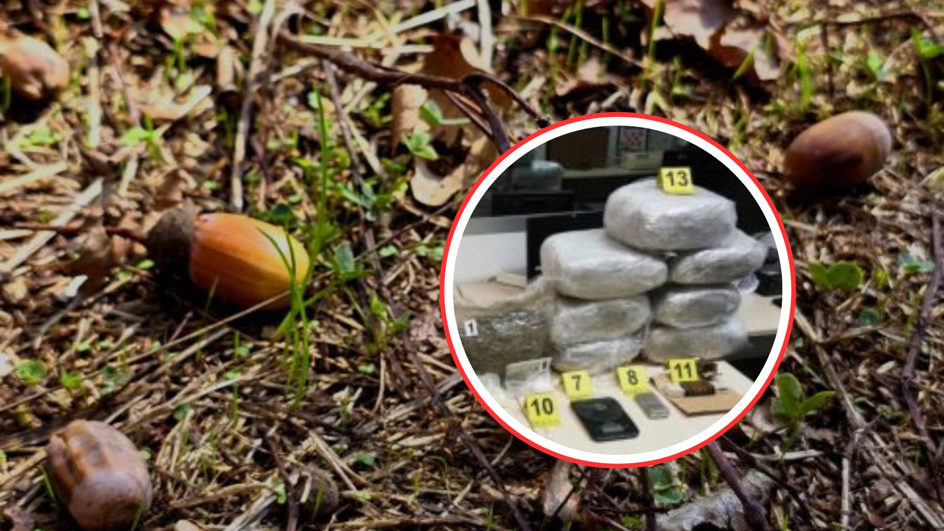 Proširuje se istraga protiv 40-godišnjeg krijumčara, 20 kilograma ...